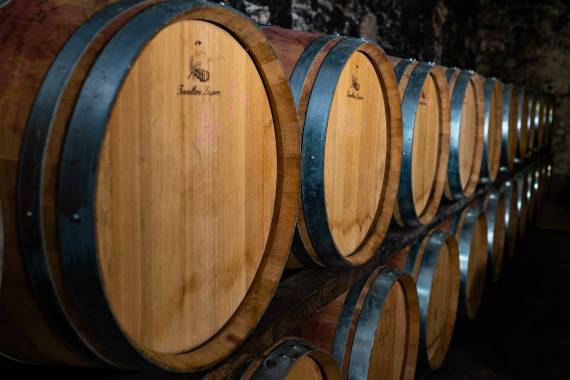 Roxane et Cyrano - Jean-Régis et Alexandre Guibert viticulteurs ...